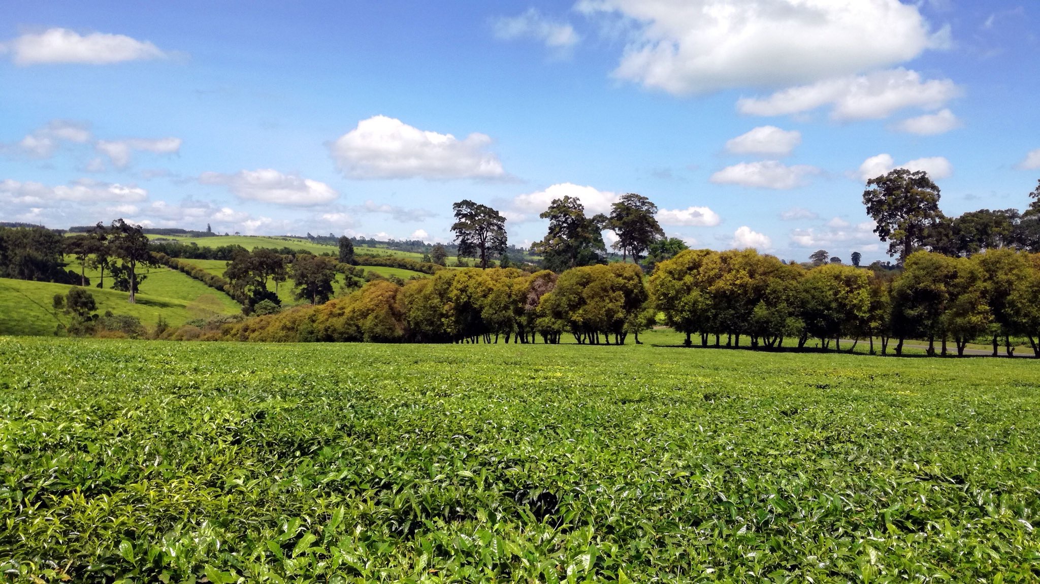 11 Things You Need to Know Before Buying Land in Kenya - OT Advocates